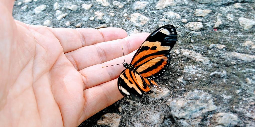 ESCRÚPULOS? O QUE SÃO ESCRÚPULOS? | O Mundo de Amanhã