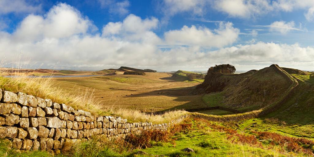 Se as paredes pudessem falar... | O Mundo de Amanhã